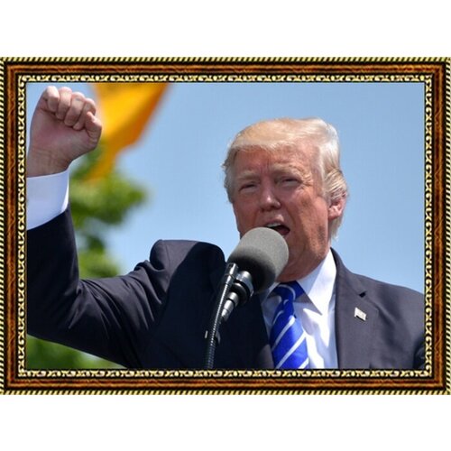 Портрет Президента США Дональда Трампа, 30х40 см, в рамке