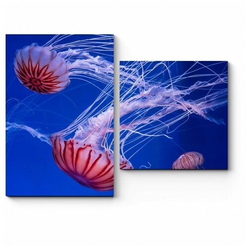 Модульная картина Чудесные медузы130x98