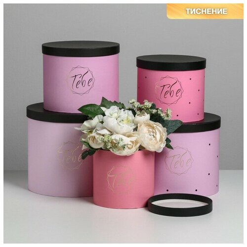Набор шляпных коробок для цветов 5 в 1 «Чёрно-розовые», 14 × 13 см - 22 × 19,5 см, 1 набору