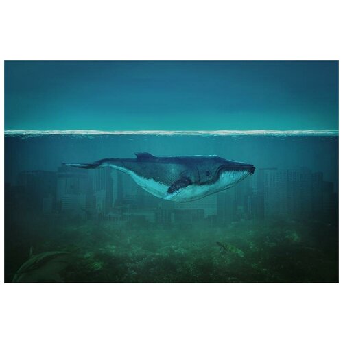 Постер / Плакат / Картина Синий кит под водой 90х120 см в подарочном тубусе