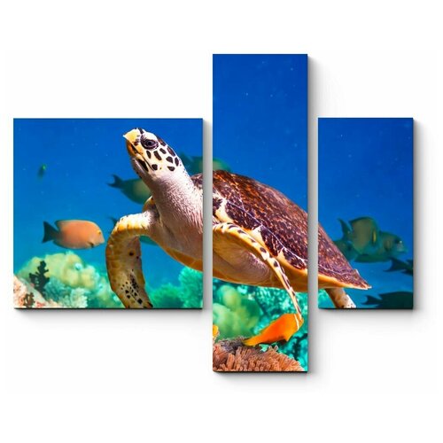 Модульная картина Черепаха в коралловом рифе100x83