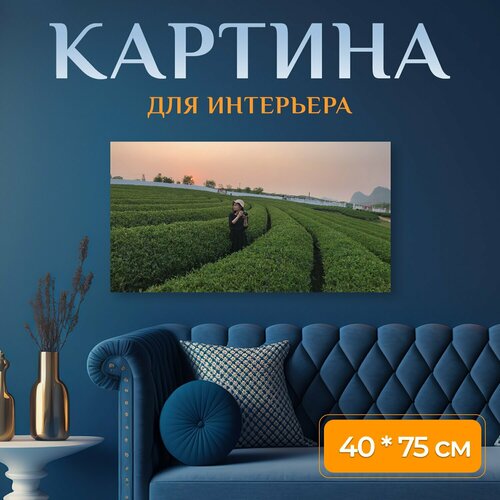 Картина на холсте "Чай, поле, камера" на подрамнике 75х40 см. для интерьера