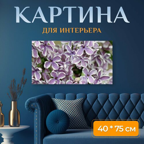 Картина на холсте "Сирень, весна, сиреневый" на подрамнике 75х40 см. для интерьера