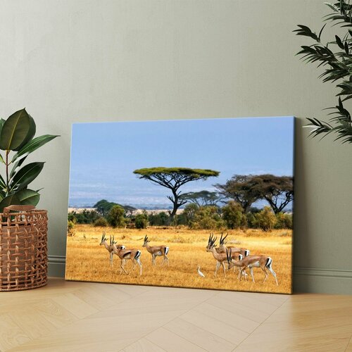 Картина на холсте (Антилопы Африки на саванне) 30x40 см. Интерьерная, на стену.