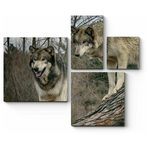 Модульная картина Волки в осеннем лесу 112x93