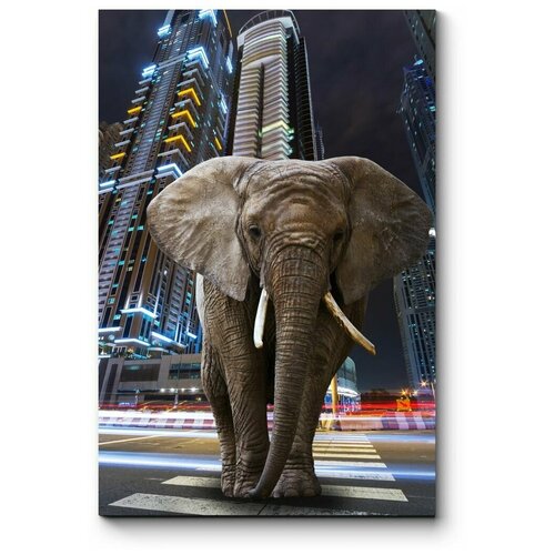 Модульная картина Слон на фоне города20x30