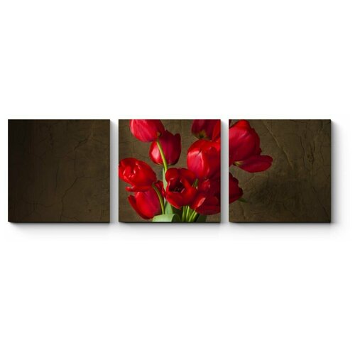 Модульная картина Прекрасные тюльпаны 170x57