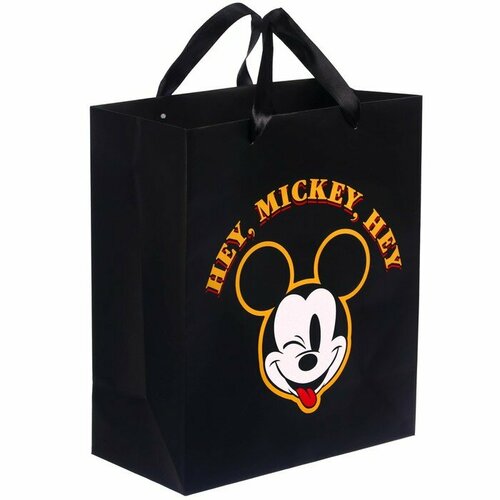 Пакет ламинированный вертикальный, 23 х 27 х 11 см "Hey Mickey Hey", Микки Маус (1шт.)
