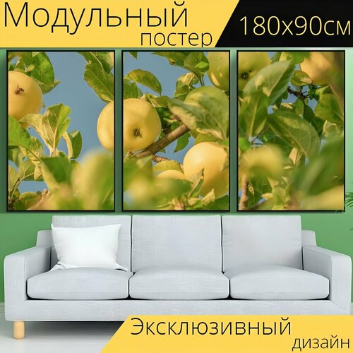 Модульный постер "Яблоки, желтый, фрукты" 180 x 90 см. для интерьера