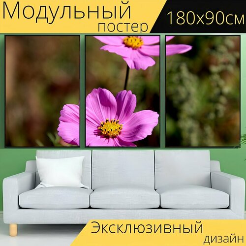 Модульный постер "Цветы, фиолетовый цвет, растения" 180 x 90 см. для интерьера