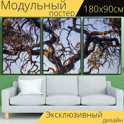 Модульный постер "Ботсвана, дерево, природа" 180 x 90 см. для интерьера