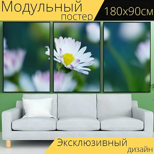 Модульный постер "Маргаритка, лепестки, весна" 180 x 90 см. для интерьера