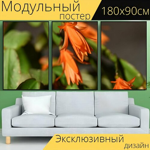 Модульный постер "Кактус, цветок, апельсин" 180 x 90 см. для интерьера