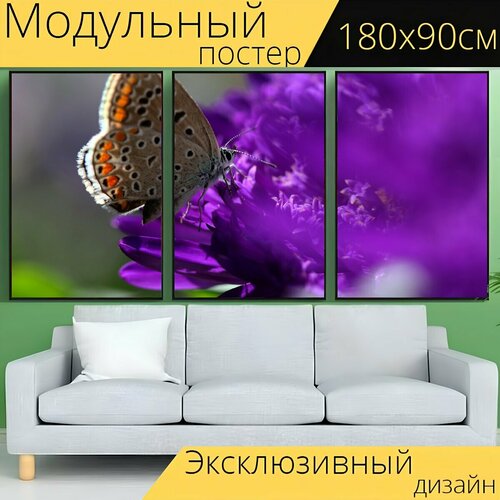 Модульный постер "Бабочка, флюгер, цветной" 180 x 90 см. для интерьера