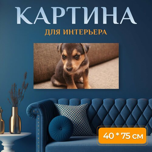 Картина на холсте "Собака, коричневый, щенок" на подрамнике 75х40 см. для интерьера