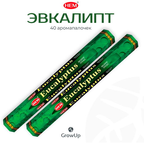 Палочки ароматические благовония HEM ХЕМ Эвкалипт Eucalyptus, 2 упаковки, 40 шт