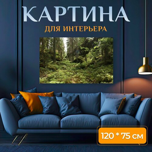 Картина на холсте "Лес, зеленый, финляндия" на подрамнике 120х75 см. для интерьера