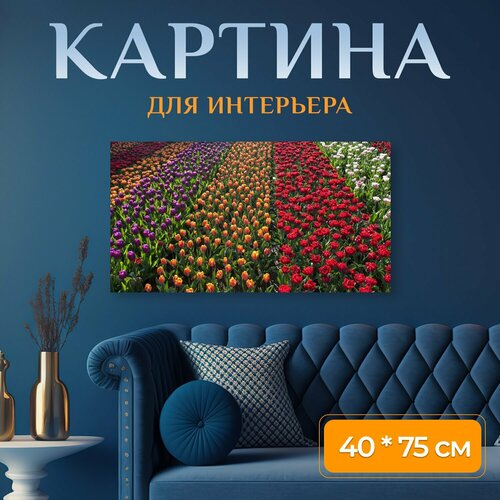 Картина на холсте "Тюльпаны, весна, апреля" на подрамнике 75х40 см. для интерьера