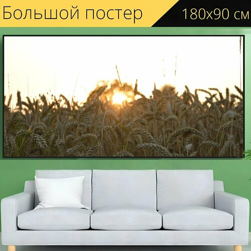 Большой постер "Солнечный свет, посевы пшеницы, ферма" 180 x 90 см. для интерьера