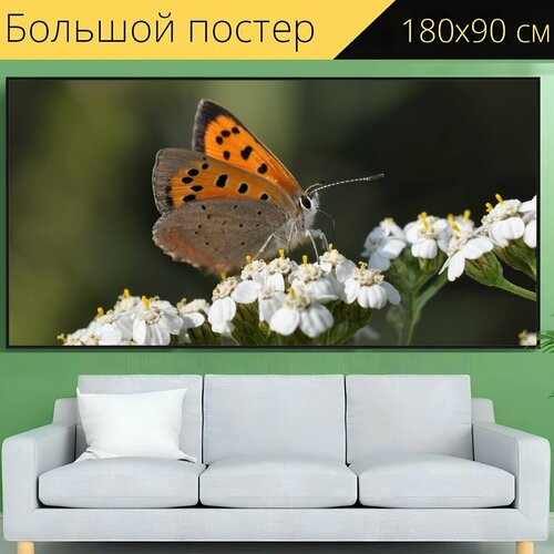 Большой постер "Бабочка, бабочки, медь" 180 x 90 см. для интерьера