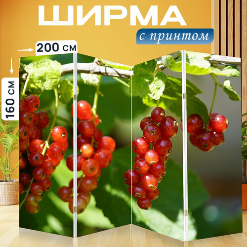 Ширма перегородка с принтом "Красный, смородина, ягоды" на холсте - 200x160 см. для зонирования, раскладная