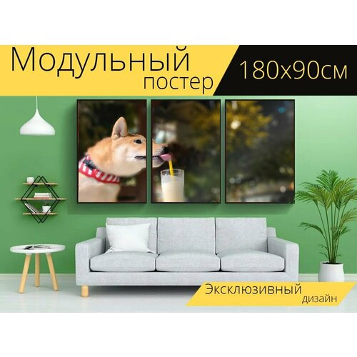 Модульный постер "Сиба ину, собака, облизывание" 180 x 90 см. для интерьера