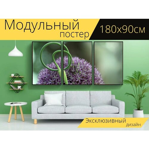 Модульный постер "Декоративные лук, цвести, лук" 180 x 90 см. для интерьера
