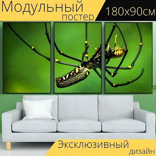 Модульный постер "Паук, макрос, насекомое" 180 x 90 см. для интерьера