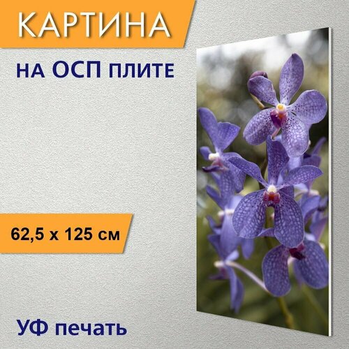 Вертикальная картина на ОСП "Орхидеи, цветы, завод" 62x125 см. для интерьериа