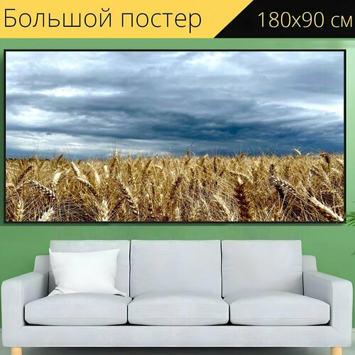 Большой постер "Пшеница, поле пшеницы, природа" 180 x 90 см. для интерьера