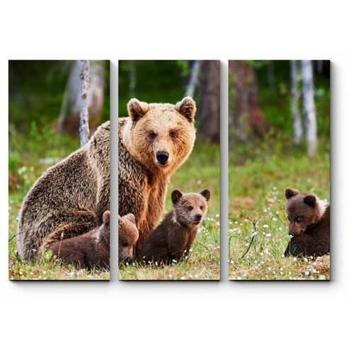 Модульная картина Семья очаровательных медведей 90x65