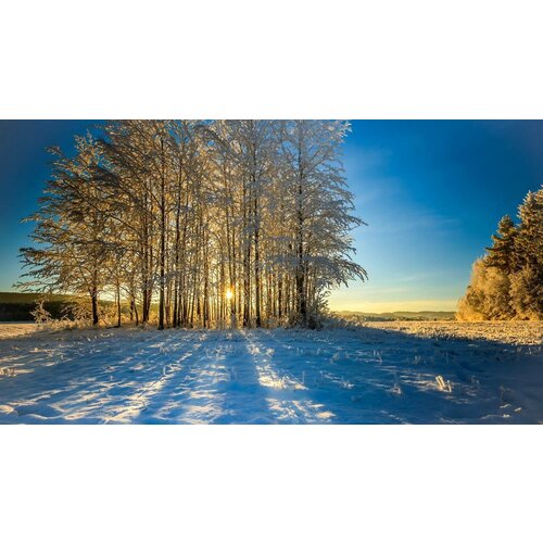 Картина на холсте 60x110 LinxOne "Небо снег зима утро лес" интерьерная для дома / на стену / на кухню / с подрамником