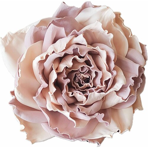 Заколка-брошь для волос/одежды/сумки большой цветок роза розово-коралловая 4719м