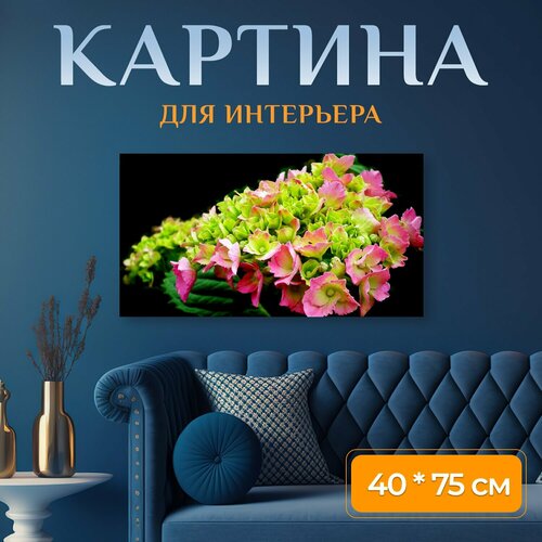 Картина на холсте "Гортензия, цветы, розовый" на подрамнике 75х40 см. для интерьера