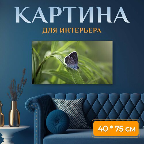 Картина на холсте "Бабочки, насекомое, бабочка" на подрамнике 75х40 см. для интерьера