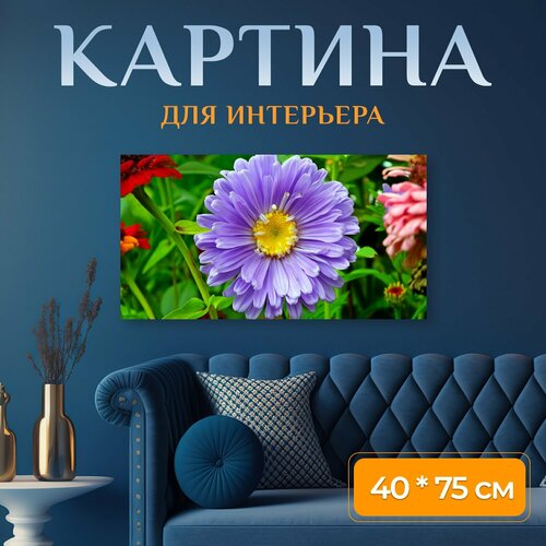 Картина на холсте "Астра, цветок, завод" на подрамнике 75х40 см. для интерьера
