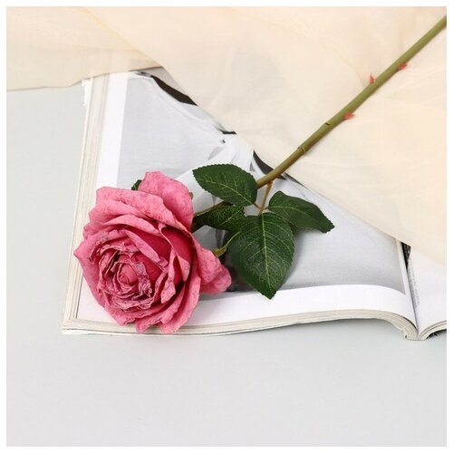 Цветы искусственные Роза эстетик 10х49 см, пепельно-розовый