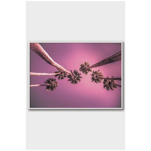 Постер на стену для интерьера Postermarkt Розовые пальмы №2, постер в белой рамке 30х40 см, постеры картины для интерьера в белой рамке