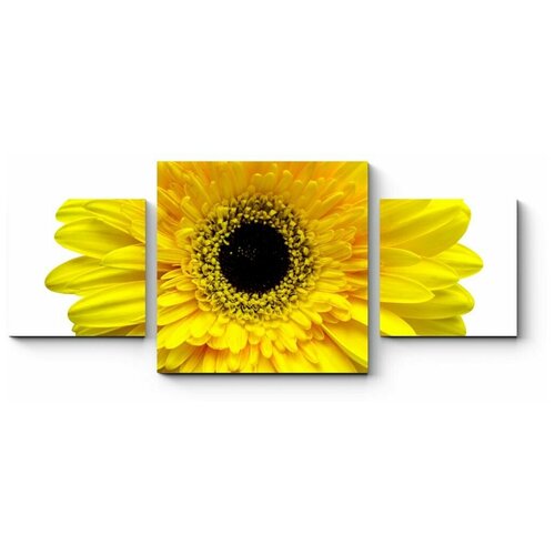 Модульная картина Солнечная гербера 130x56