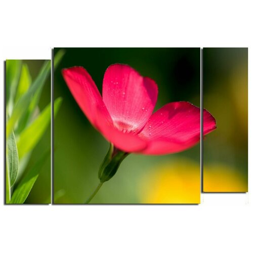 Модульная картина на Холсте - "Красный цветок", размер 90х60 см