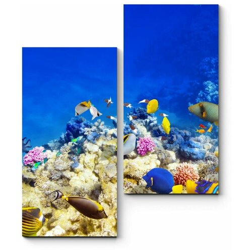 Модульная картина Яркие краски подводного мира 40x50
