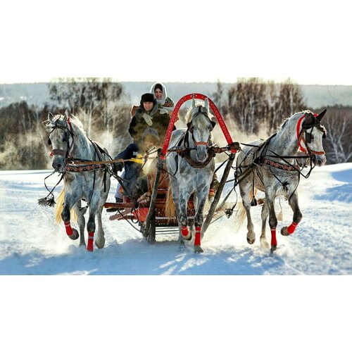 Картина на холсте 110x60 LinxOne "Зима веселье задор люди кони" интерьерная для дома / на стену / на кухню / с подрамником