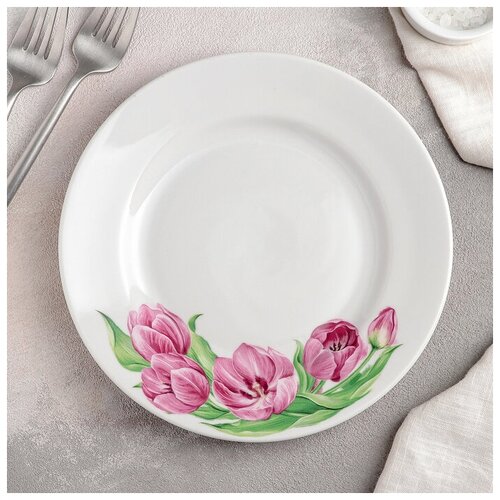 Дулевский фарфор Тарелка фарфоровая «Розовые тюльпаны», d=20 см, белая