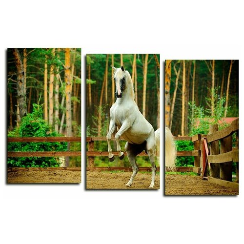 Модульная картина на Стекле - "Белый конь", размер 90х60 см