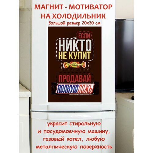 Прикольный подарок, правда - ложь мотивация магнит гибкий на холодильник 20 на 30 см