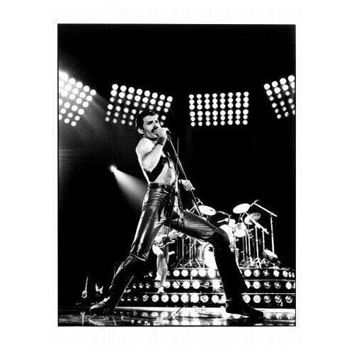 Плакат, постер на бумаге Freddie Mercury/Фредди Меркури. Размер 21 х 30 см