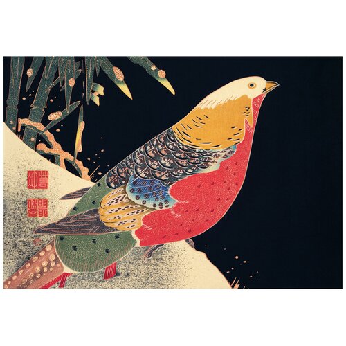 Постер / Плакат / Картина Золотой фазан 40х50 см в подарочном тубусе