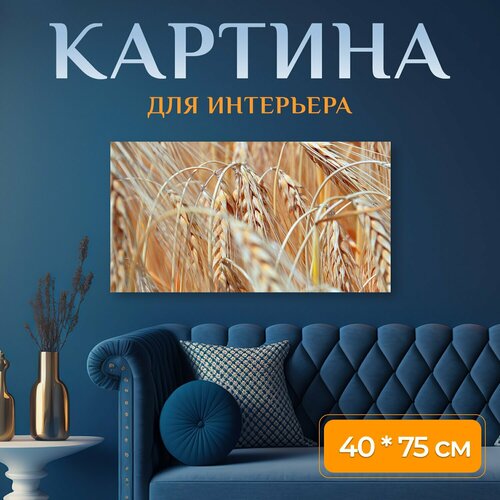 Картина на холсте "Пшеница, пшеничное поле, летом" на подрамнике 75х40 см. для интерьера