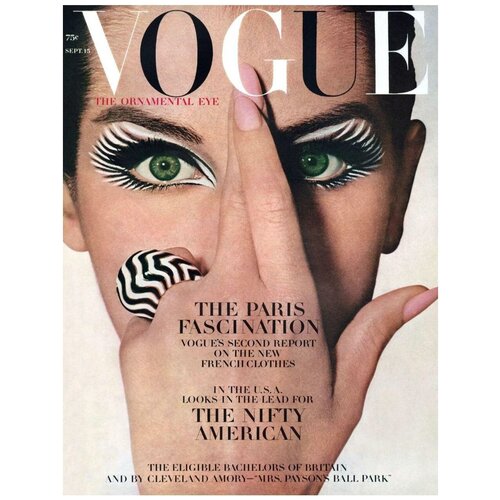 Постер / Плакат / Картина Vogue - Взгляд Зебры 50х70 см в подарочном тубусе