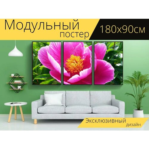Модульный постер "Пион, цветок, пятидесятница" 180 x 90 см. для интерьера